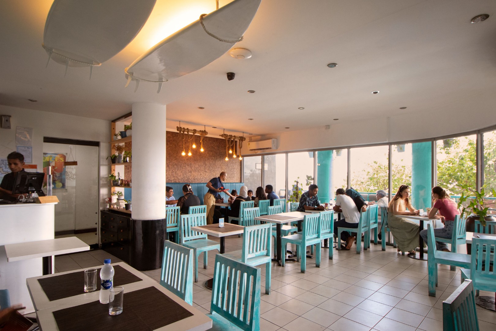 Shell Beans | Enjoyable Dining Experiences